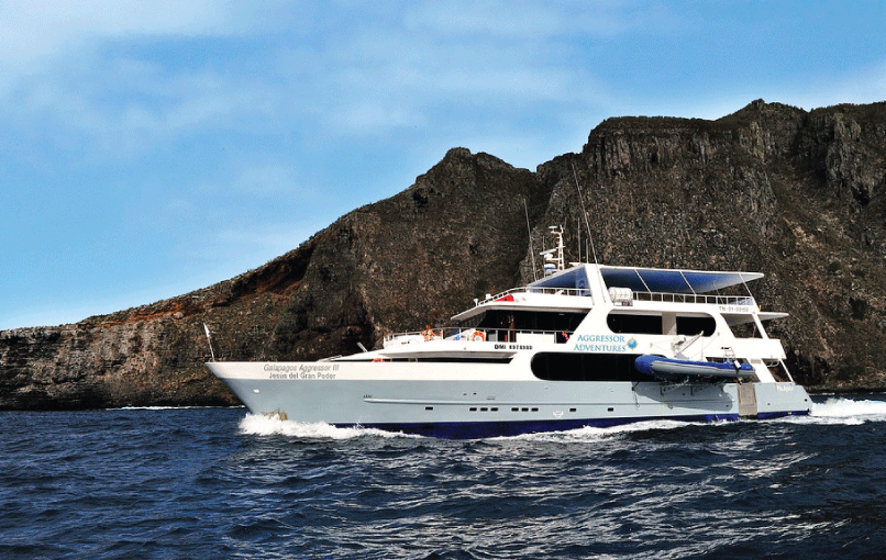 Galapagos Islands Cruises | Explore and compare all options